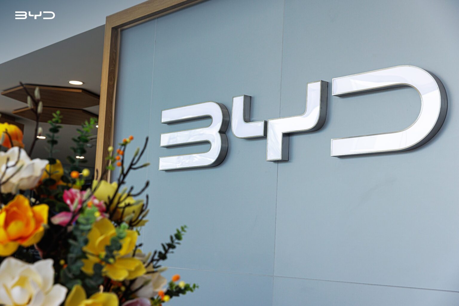 BYD Hòa Bình Minh Bình Phước - BYD Miền Nam